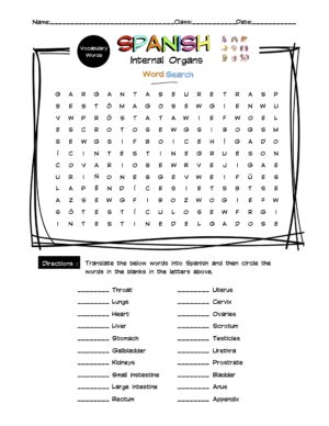 Spanish Internal Organs Vocabulary Word Search & Answer Key | Made By ...