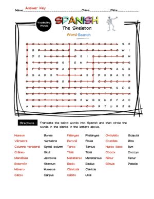 Spanish Skeleton Vocabulary Word Search & Answer Key - Made By Teachers
