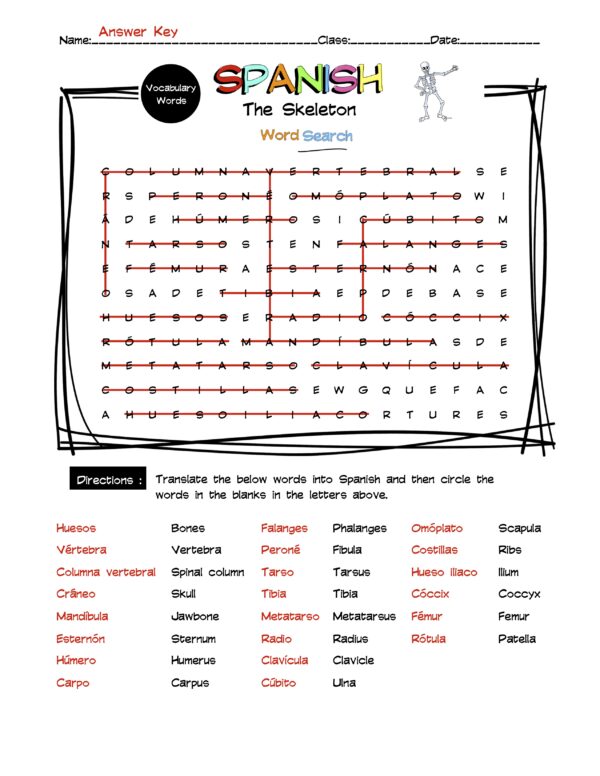 Spanish Skeleton Vocabulary Word Search & Answer Key | Made By Teachers