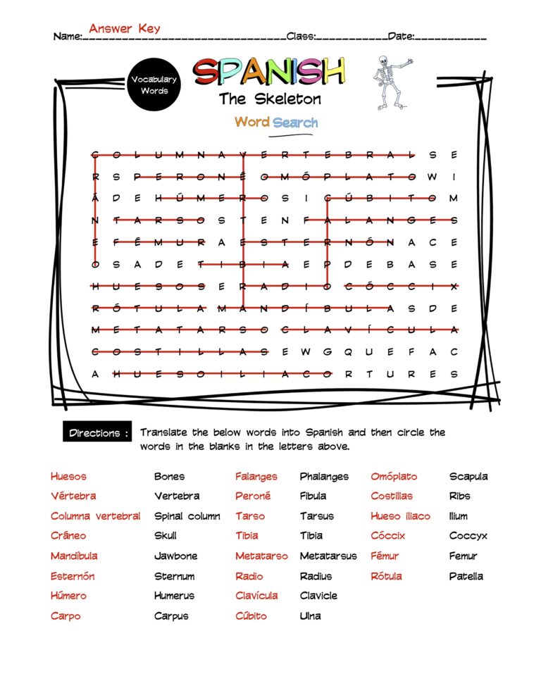 Spanish Skeleton Vocabulary Word Search & Answer Key | Made By Teachers