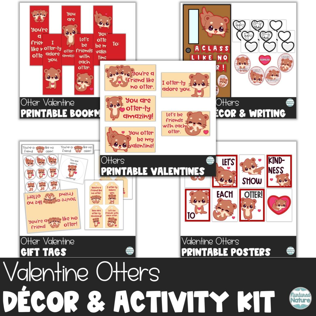 Otter Valentine’s Day Party Decor and Activity Kit - Bulletin Board ...