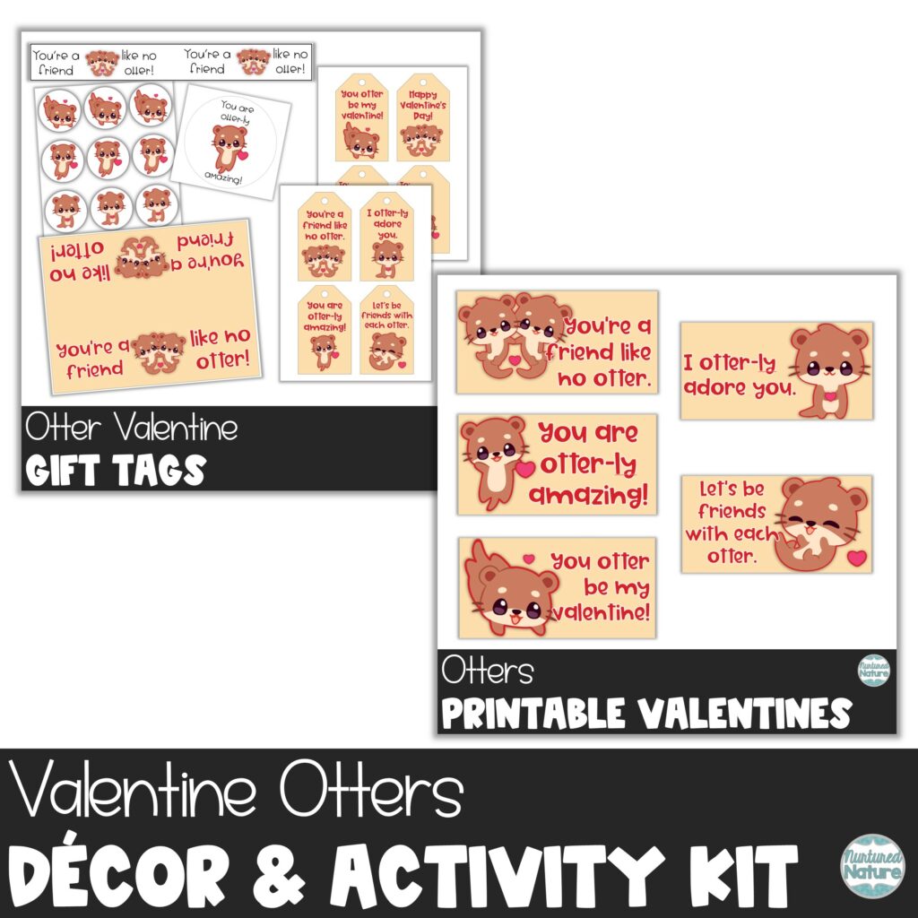 Otter Valentine’s Day Party Decor and Activity Kit - Bulletin Board ...