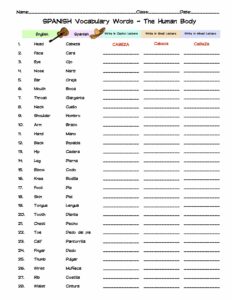 Spanish First Aid Kit Vocabulary Word List Worksheet & Answer Key ...
