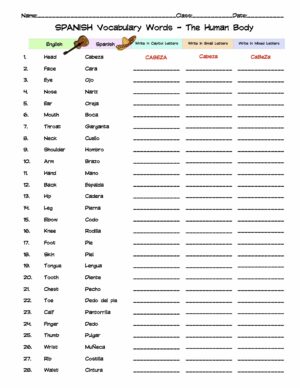 Spanish Zoo Animals Vocabulary Matching Worksheet & Answer Key | Made ...