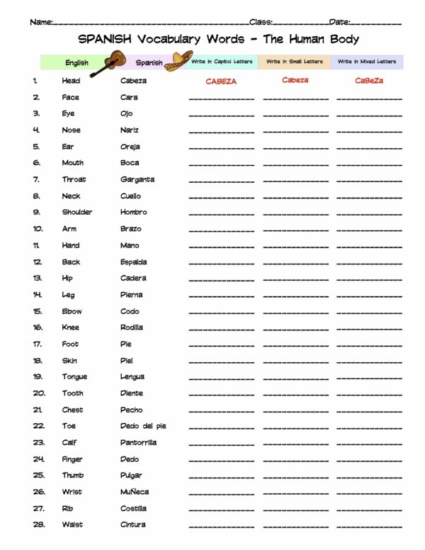 Spanish The Human Body Vocabulary Word List Column Worksheet | Made By ...