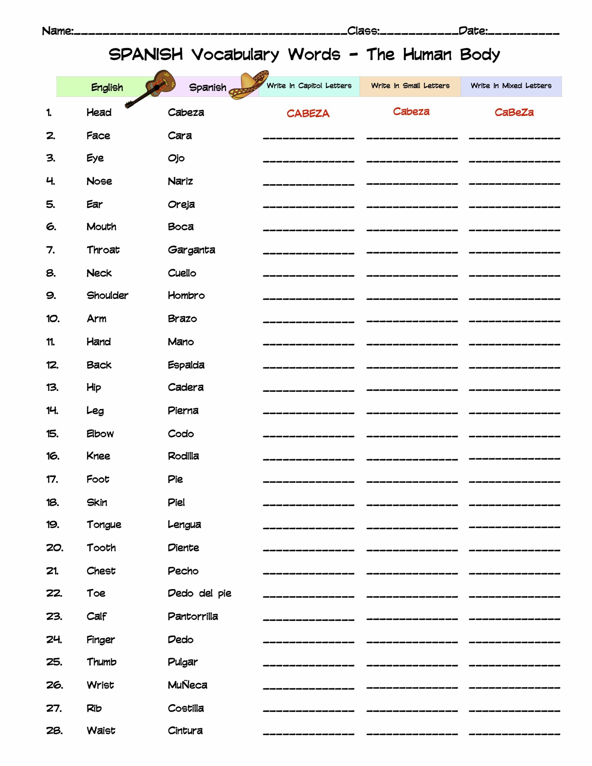 P edem Spona Zkapalnit Human Body Vocabulary Word List Farma Nudn P edem Spona Zkapalnit Human Body Vocabulary Word List Farma Nudn