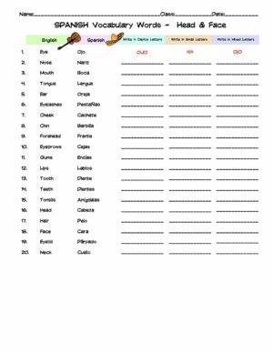 Spanish Household Items Vocabulary Word List Worksheet & Answer Key ...