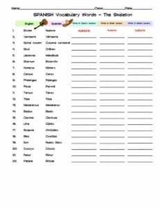 Spanish Fruits Vocabulary Matching Worksheet & Answer Key | Made By ...