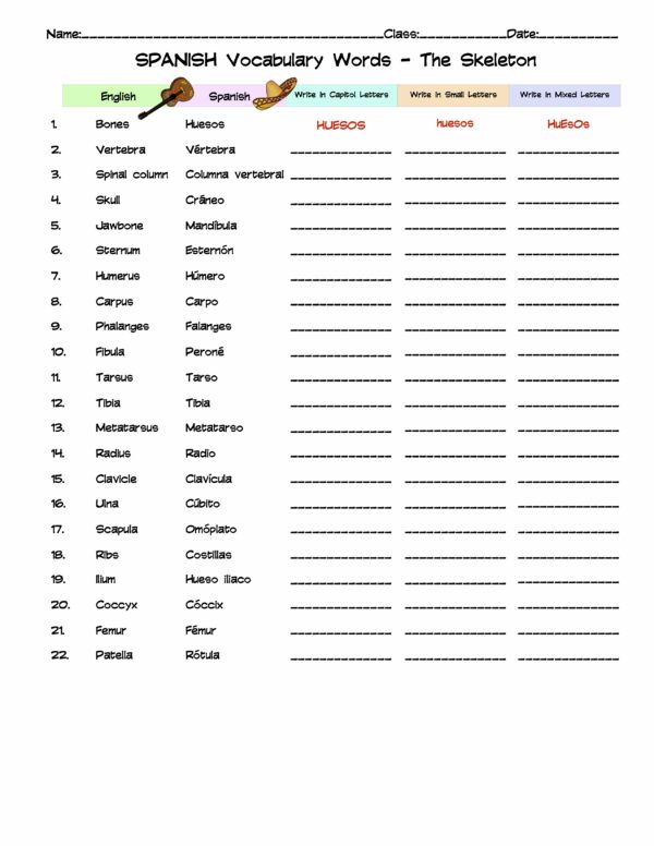 Spanish Common Questions Vocabulary Word List Worksheet & Answer Key ...