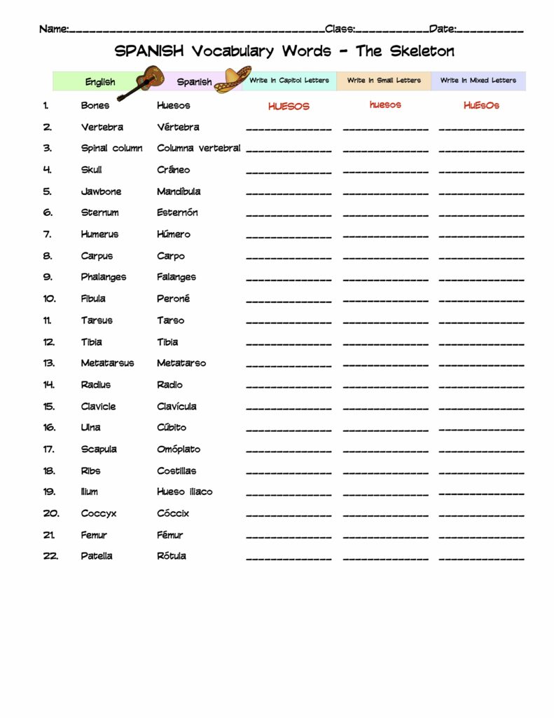 Spanish Numbers Vocabulary Word Search & Answer Key | Made By Teachers