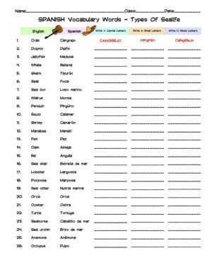 Spanish Men's Clothes Vocabulary Word List Worksheet & Answer Key ...