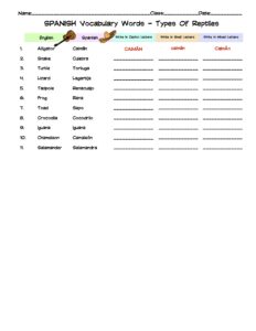 Spanish Types Of Reptiles Vocabulary Word List Column Worksheet | Made ...