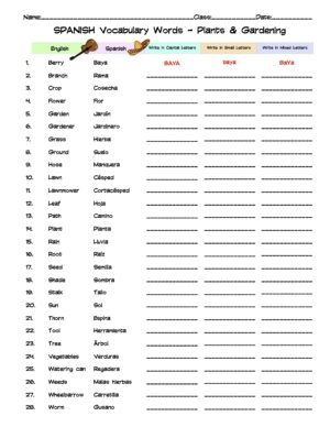 Spanish Character Traits Vocabulary Word List Column Worksheet | Made ...