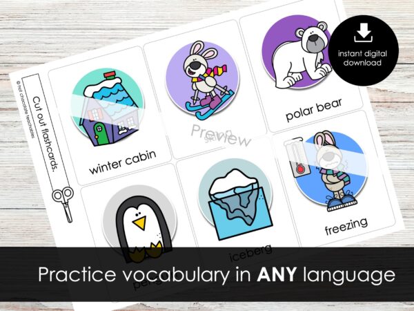 Winter Vocabulary Flashcards - Flash Cards with Editable text for ESL ...