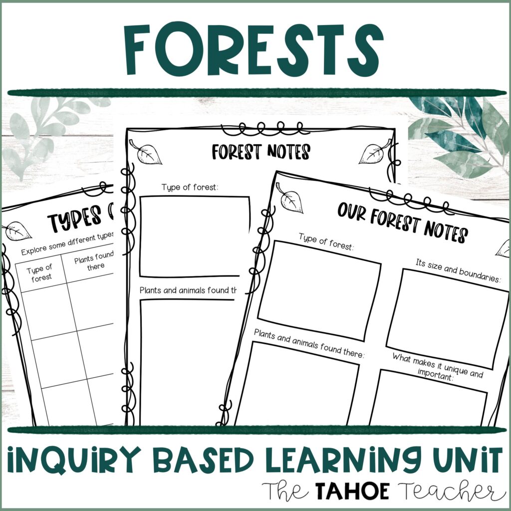 Forest Inquiry / Phenomenon-Based Learning Unit | Made By Teachers