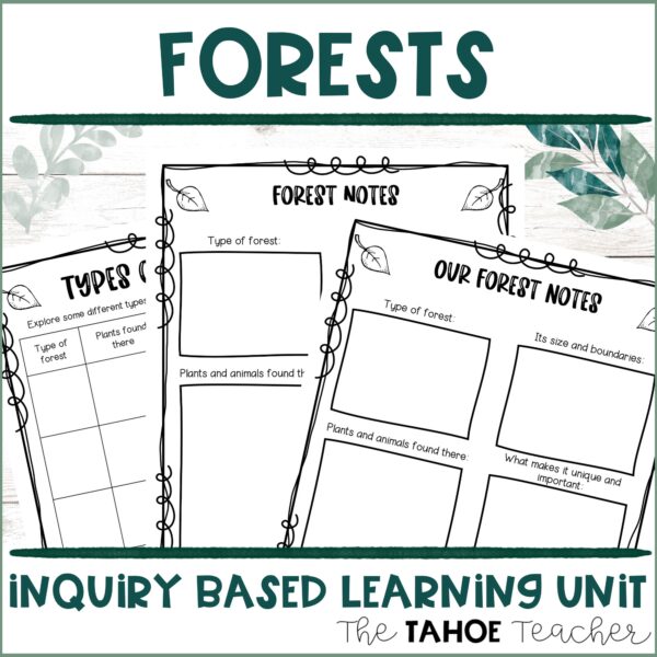 Forest Inquiry / Phenomenon-Based Learning Unit | Made By Teachers