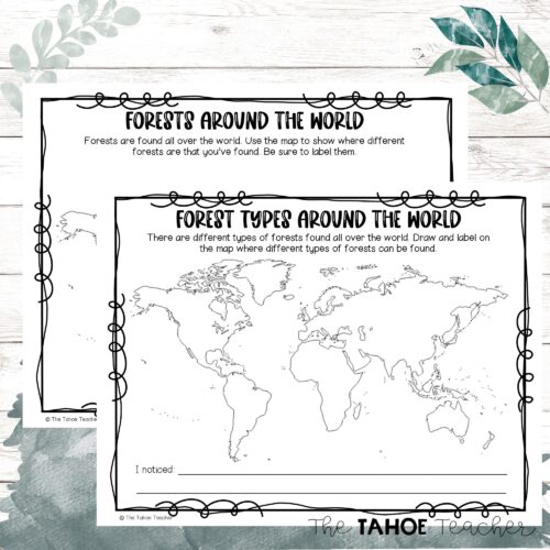 Forest Inquiry / Phenomenon-Based Learning Unit | Made By Teachers