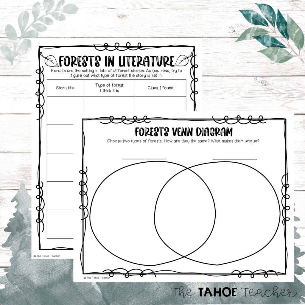 Forest Inquiry / Phenomenon-Based Learning Unit | Made By Teachers