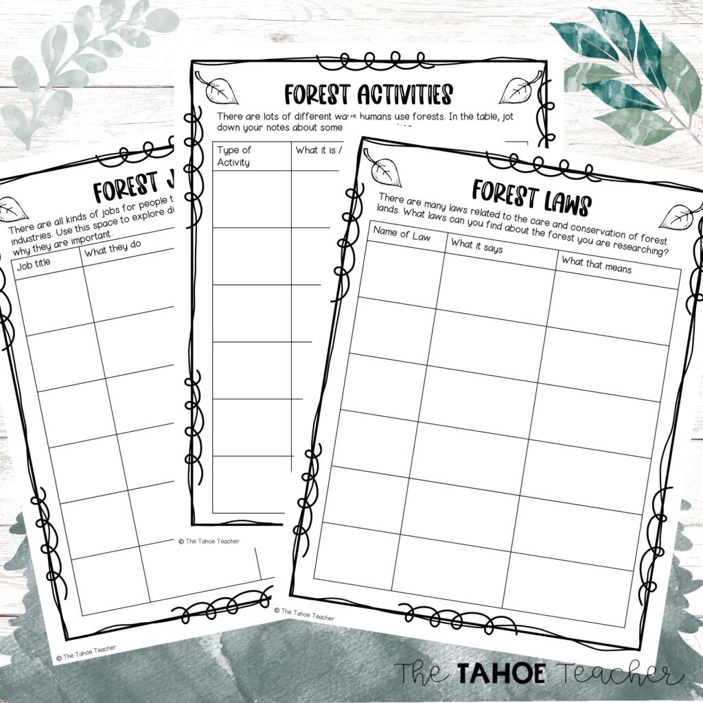 Forest Inquiry / Phenomenon-Based Learning Unit | Made By Teachers