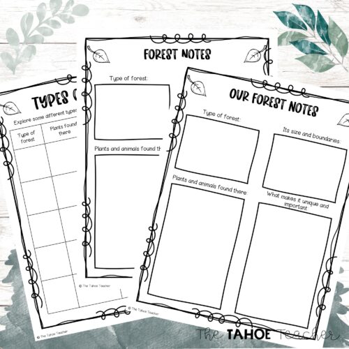 Forest Inquiry / Phenomenon-Based Learning Unit | Made By Teachers