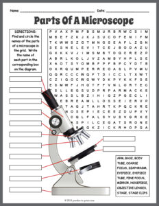 PARTS OF A MICROSCOPE Word Search Puzzle Worksheet Activity | Made By ...