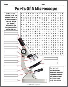 PARTS OF A MICROSCOPE Word Search Puzzle Worksheet Activity | Made By ...