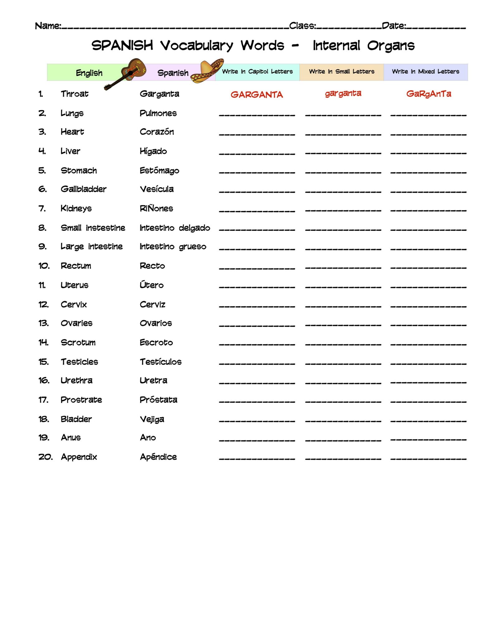 Spanish Internal Organs Vocabulary Word List Column Worksheet | Made By ...