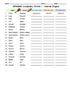 Spanish Hotel Vocabulary Matching Worksheet & Answer Key | Made By Teachers
