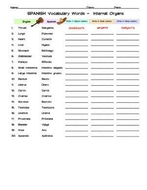 Spanish Internal Organs Vocabulary Word List Column Worksheet | Made By ...