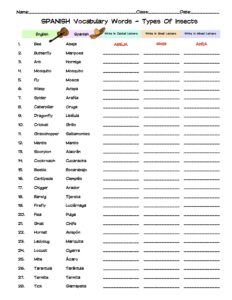 Spanish Types Of Insects Vocabulary Word List Column Worksheet | Made ...
