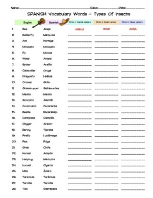 Spanish Character Traits Vocabulary Word List Worksheet & Answer Key ...