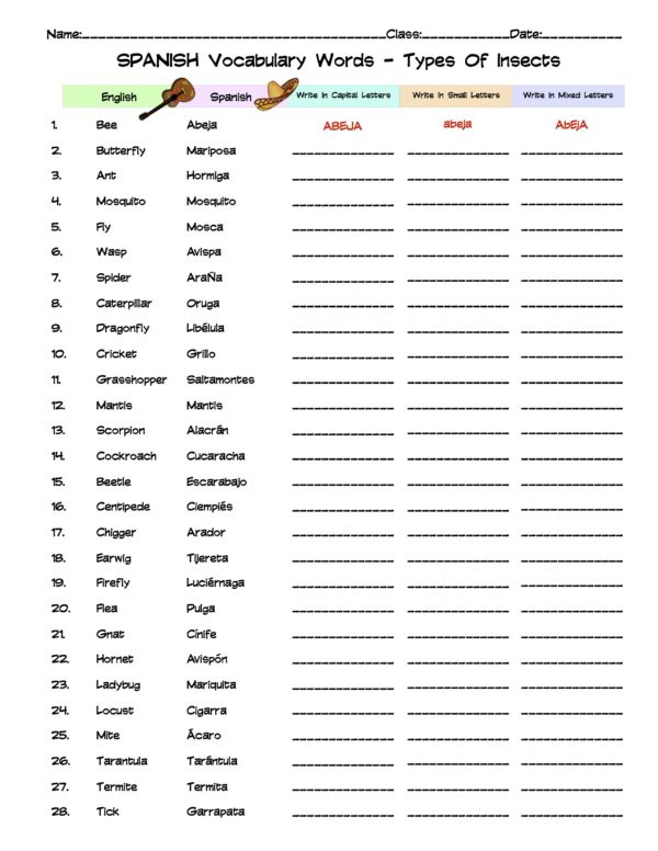 Spanish Types Of Insects Vocabulary Word List Column Worksheet | Made ...