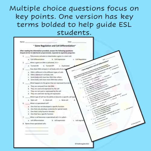 ESL Biology Cell Differentiation Reading Worksheet | Made By Teachers