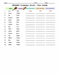 Spanish Royalty & Fairytale Vocabulary Word List Worksheet & Answer Key ...