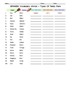 Spanish Medical Illnesses Vocabulary Matching Worksheet & Answer Key ...