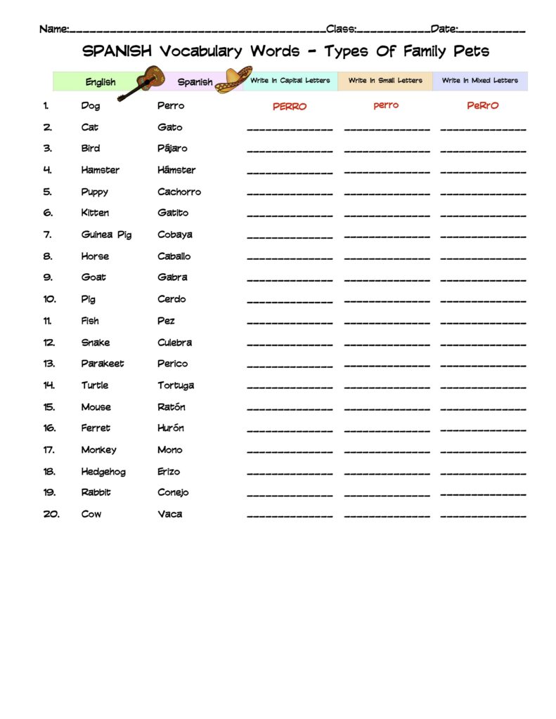 Spanish Medical Illnesses Vocabulary Matching Worksheet & Answer Key ...