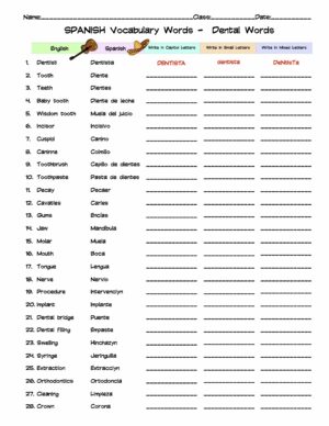 Spanish Birds Vocabulary Word List Worksheet & Answer Key | Made By ...