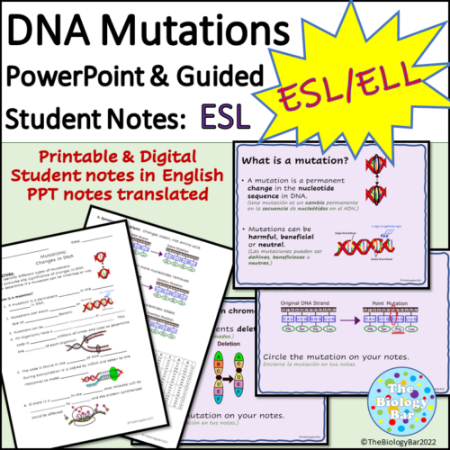 ESL Biology DNA Mutations PPT and Student Guided Notes | Made By Teachers