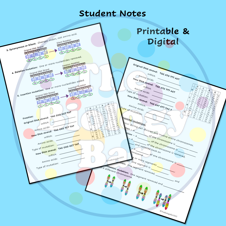 ESL Biology DNA Mutations PPT and Student Guided Notes | Made By Teachers