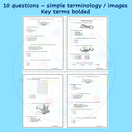 ESL and SPED Biology Protein Synthesis Quiz printable and digital ...