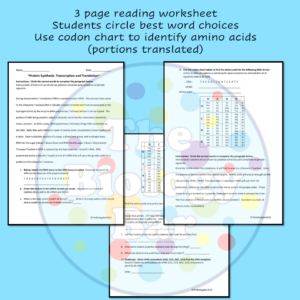 ESL Biology Protein Synthesis Worksheets Printable and Digital | Made ...