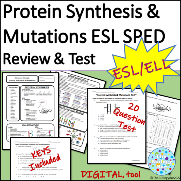 ESL and SPED Biology Protein Synthesis and Mutations Review and Test ...