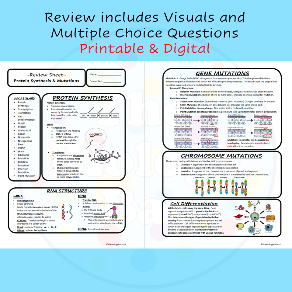 ESL and SPED Biology Protein Synthesis and Mutations Review and Test ...