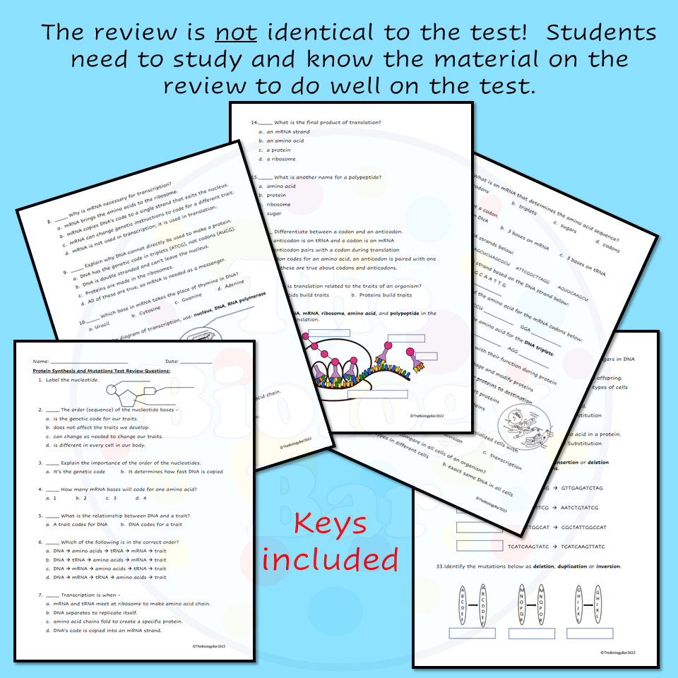 ESL and SPED Biology Protein Synthesis and Mutations Review and Test ...