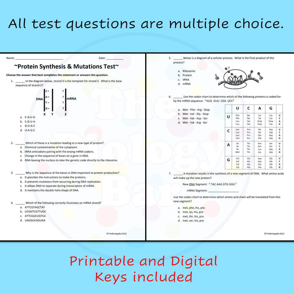 ESL and SPED Biology Protein Synthesis and Mutations Review and Test ...