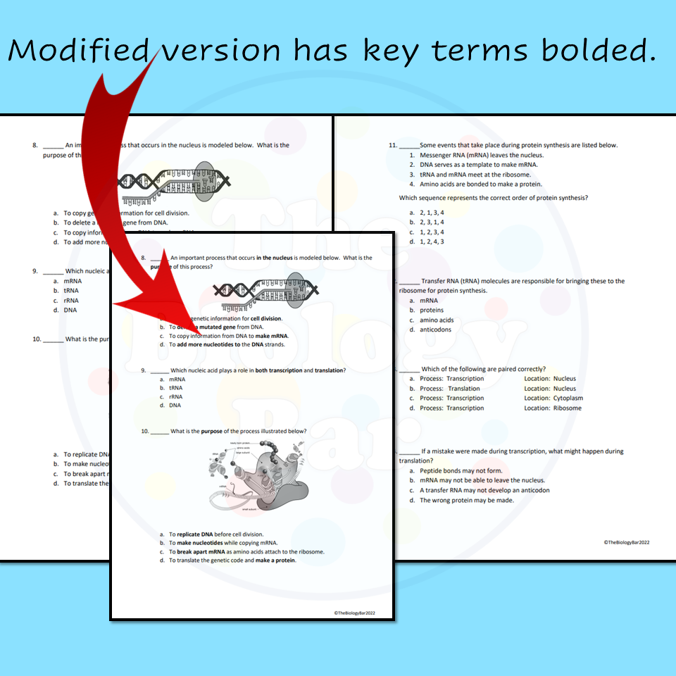 ESL and SPED Biology Protein Synthesis and Mutations Review and Test ...