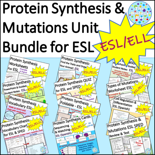ESL Biology Protein Synthesis and Mutations Unit Bundle | Made By Teachers