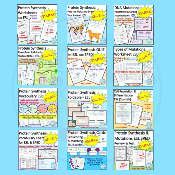 ESL Biology Protein Synthesis and Mutations Unit Bundle | Made By Teachers
