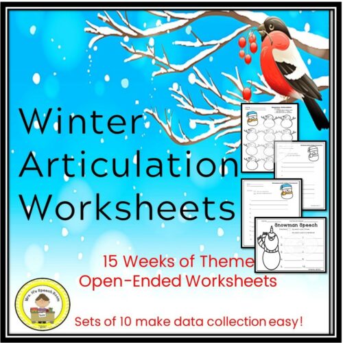Winter Articulation Worksheets -Data Friendly | Made By Teachers