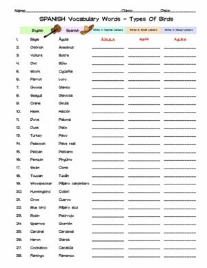 Spanish Medical Terms Vocabulary Matching Worksheet & Answer Key | Made ...